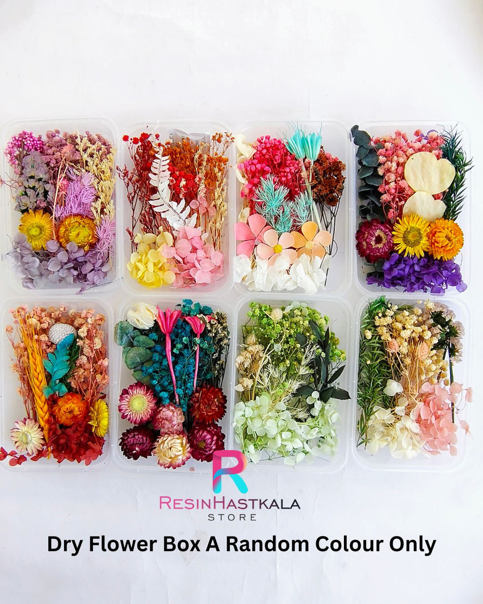 Dry Flower Box A Random Colour Only – Resinhastkala Store