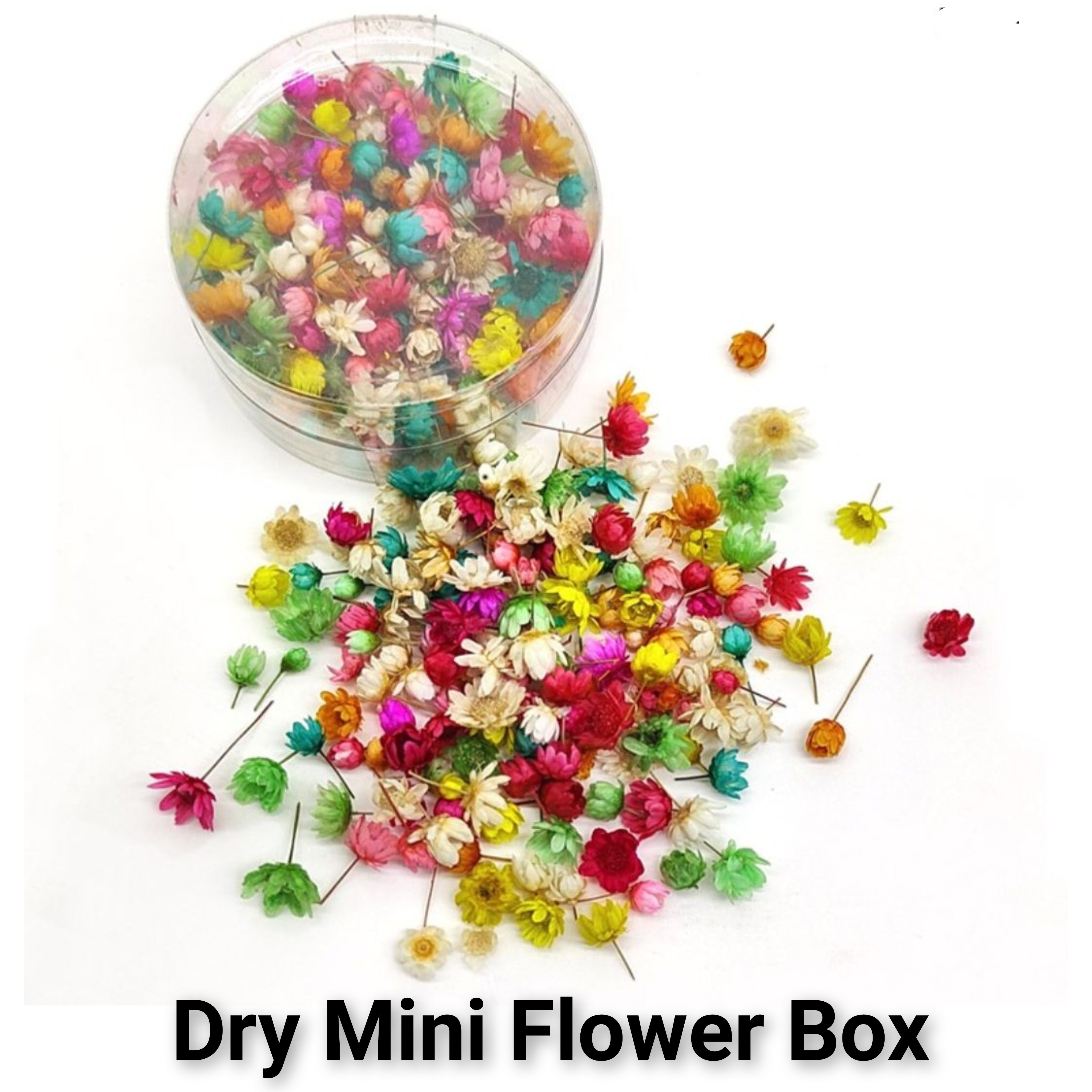 Dry Mini Flower Box – Resinhastkala Store