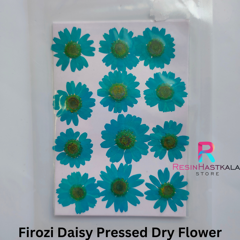 Firozi Daisy Pressed Dry Flower – Resinhastkala Store