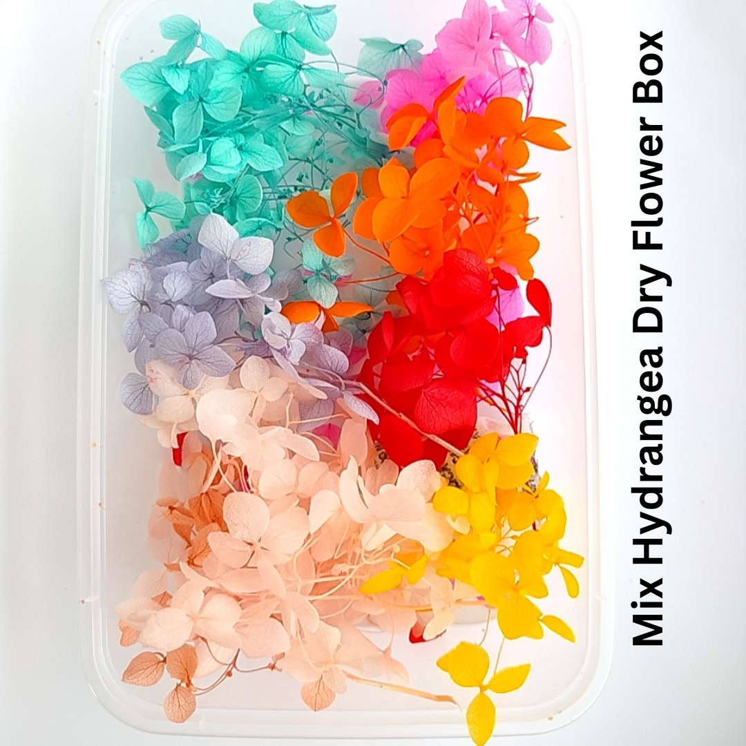 Mix Hydrangea Dry Flower Box – Resinhastkala Store