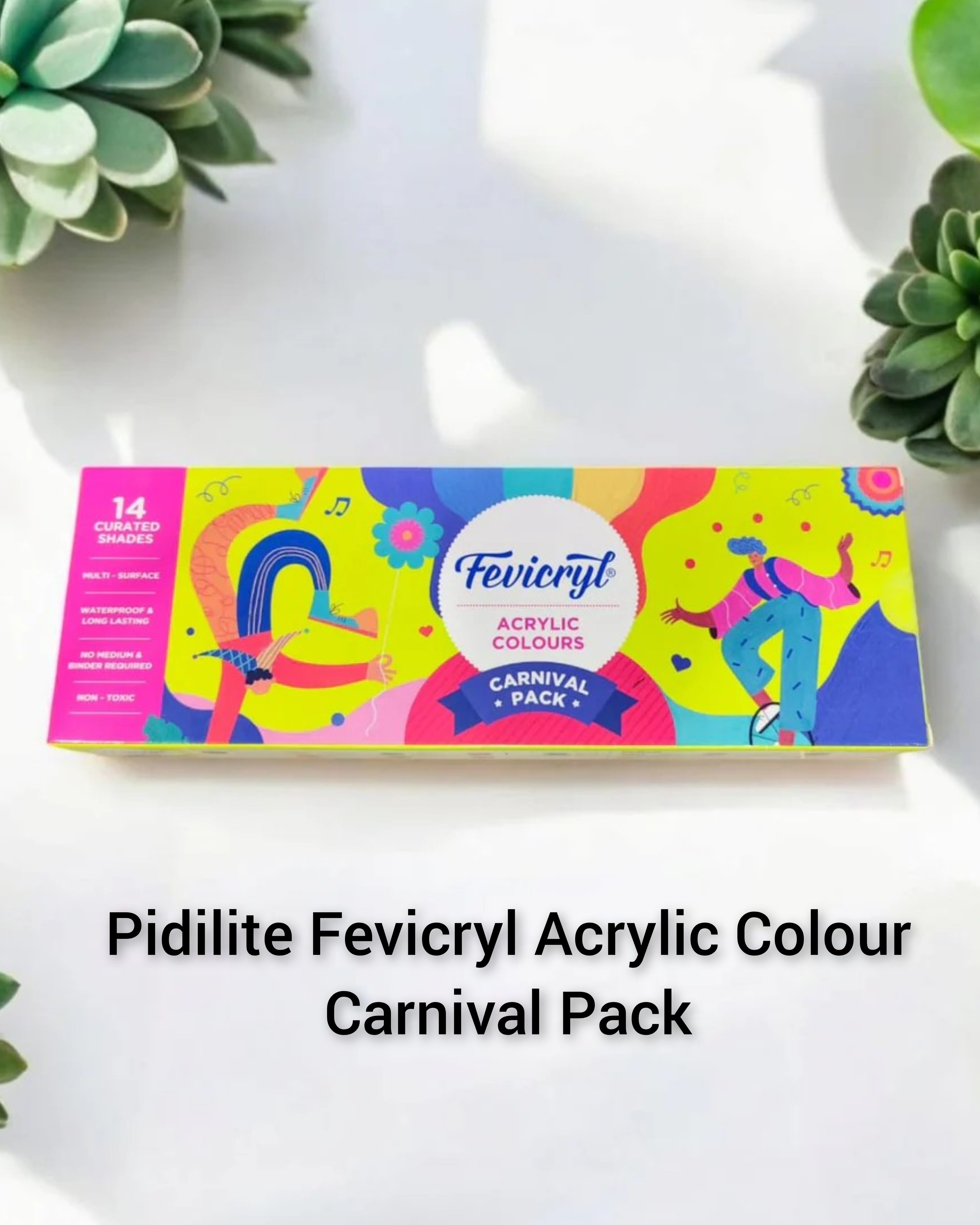Pidilite Fevicryl Acrylic Colour Carnival Pack (14 Packages of 10ml ea ...