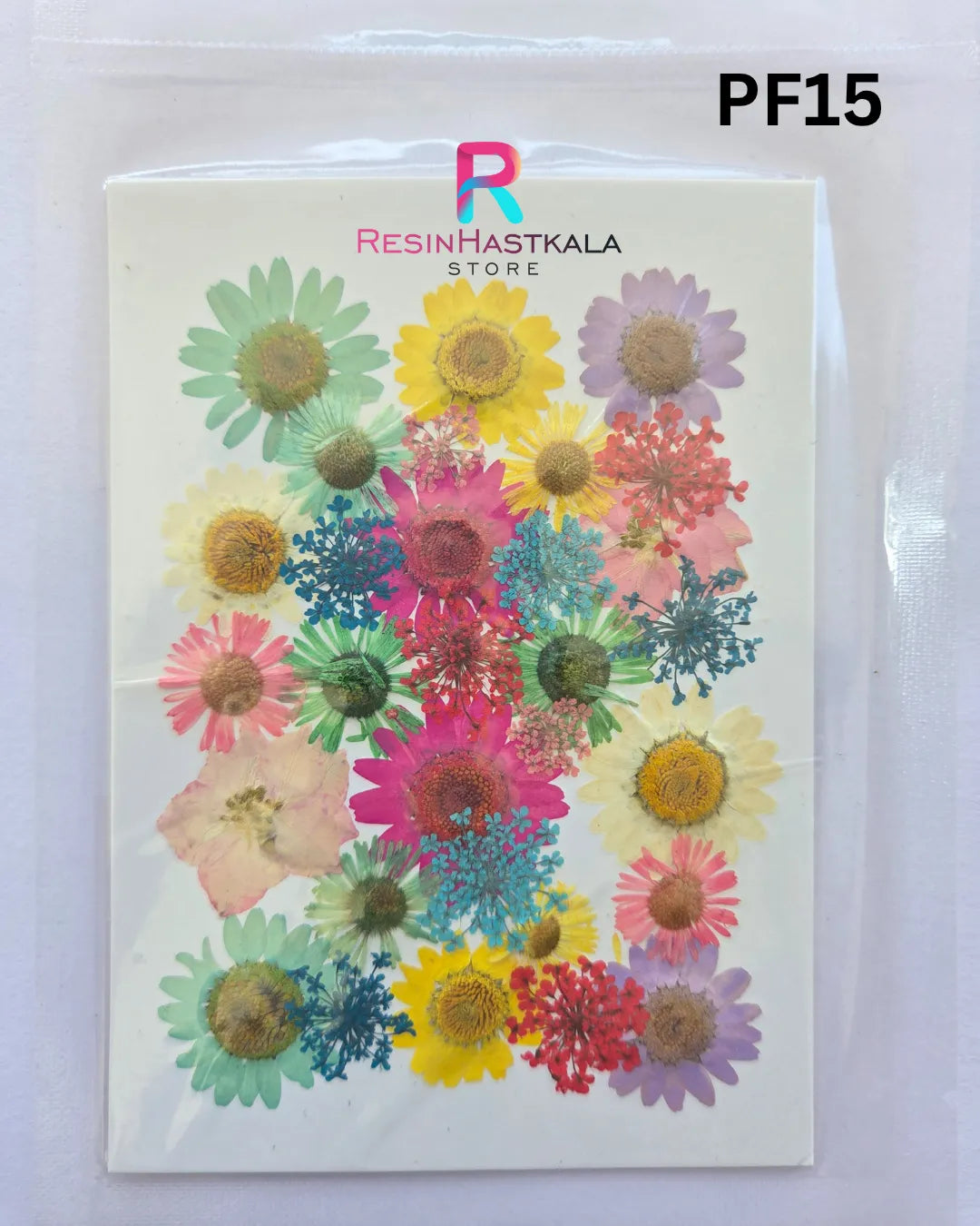 Pressed Dry Flower Sheet – PF15 – Resinhastkala Store