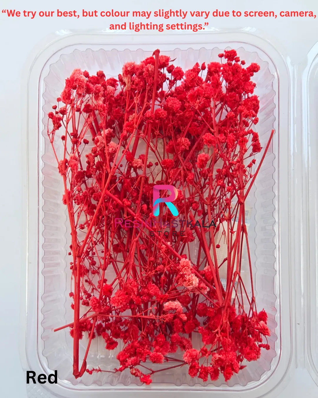Red Gypsy Dried Flower Box – Resinhastkala Store