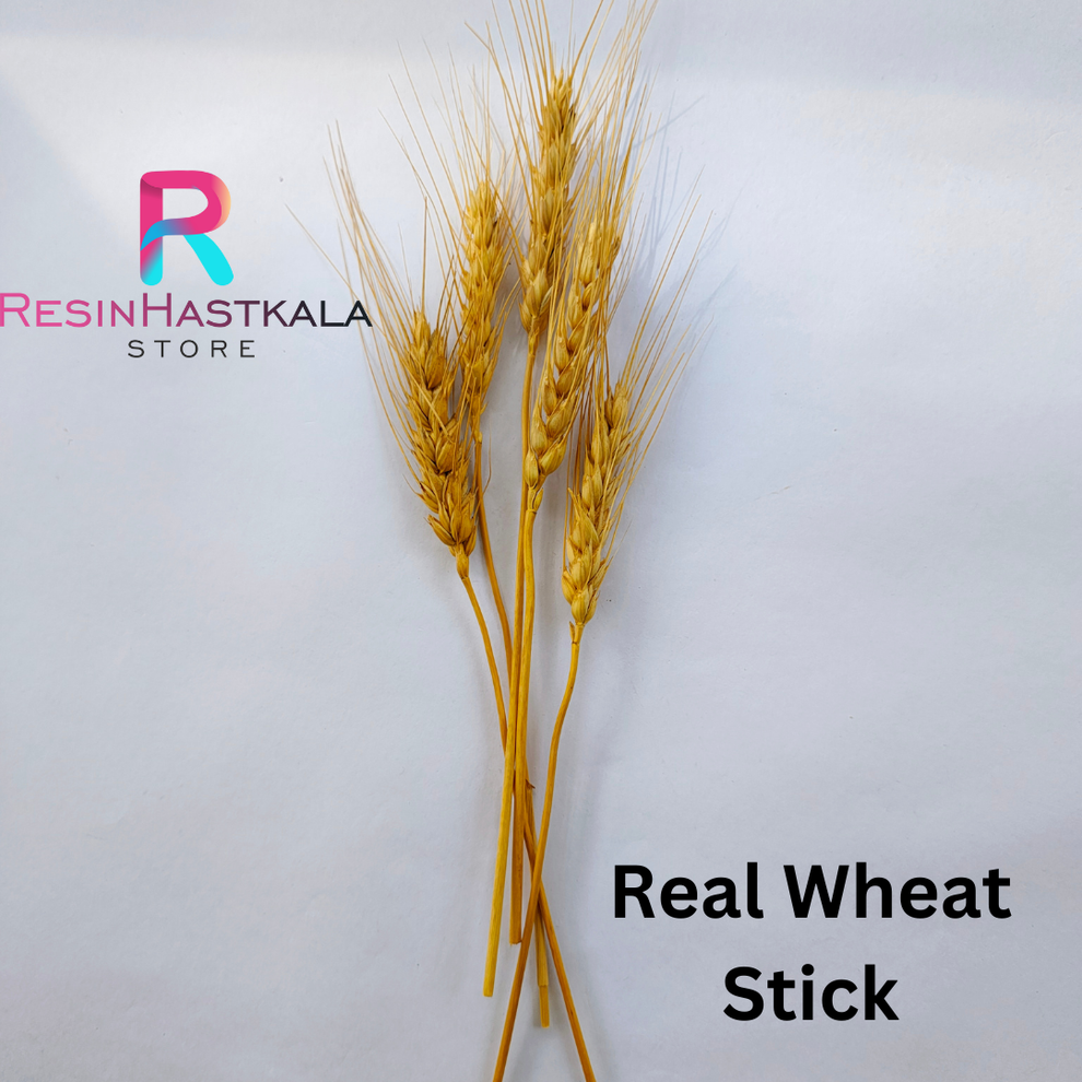 Real Wheat Stick – Resinhastkala Store